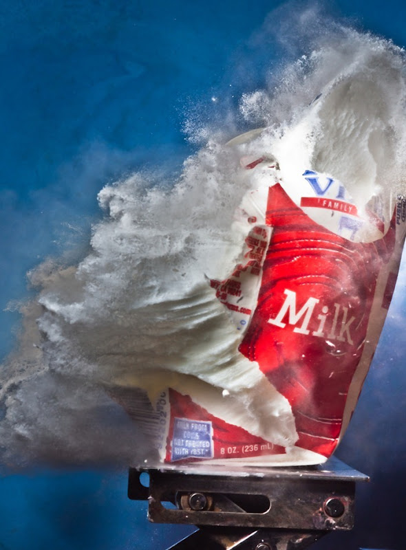 High Speed Photography by Alan Sailer | Amusing Planet